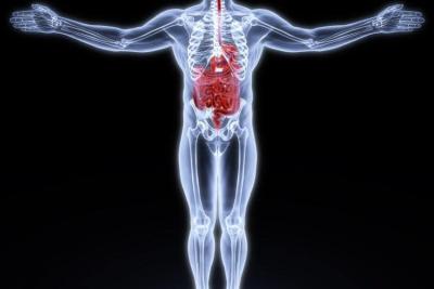 Mind, Body, Gut | The Stone Clinic